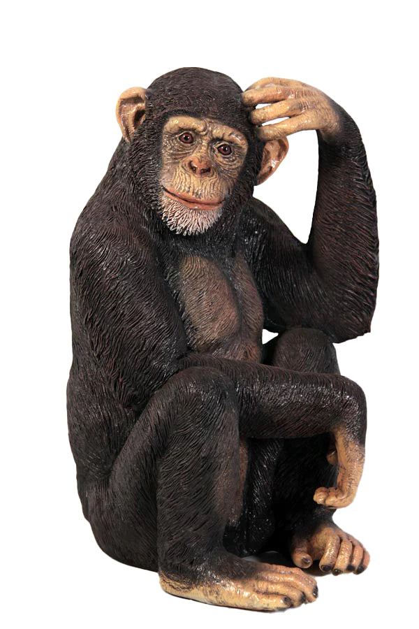 Monkey prop – PROPS LA